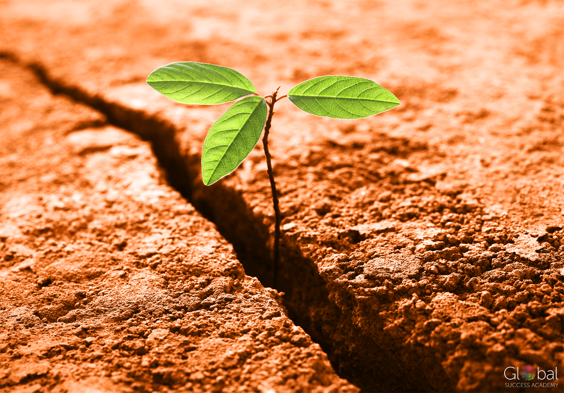 How To Change A Negative Habit Global Success Academy